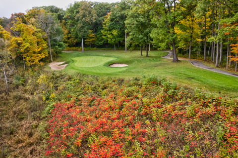 Gallery - Golf the Bull