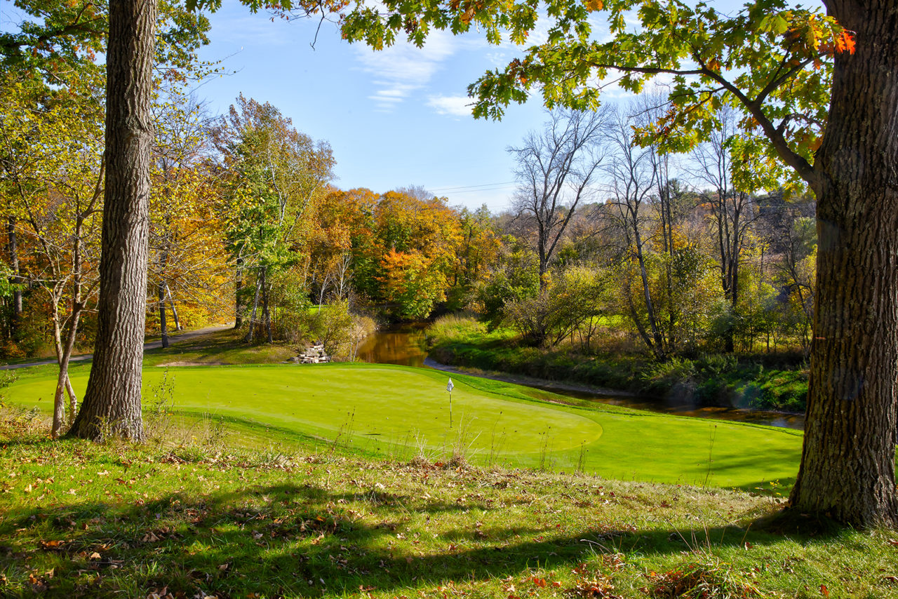 Gallery - Golf the Bull